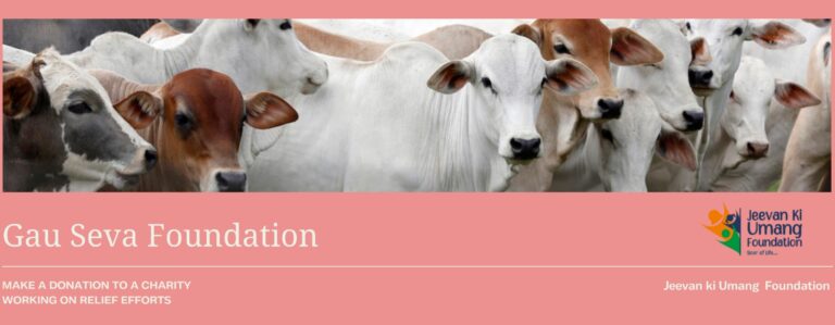 The Gau Seva NGO In Ghaziabad - Jeevan Ki Umang